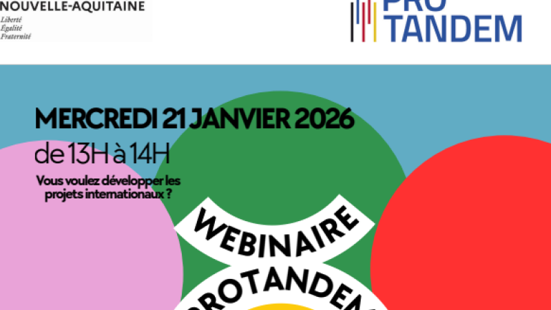 Webinaire ProTandem : Mobilité en Formation Professionnelle | Écoles ...