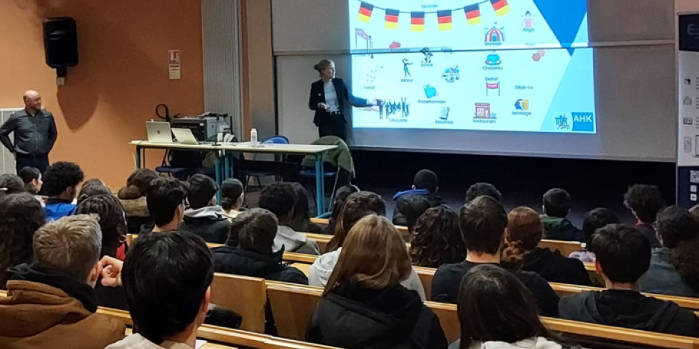 Journée de l'Amitié Franco-Allemande 2026 : La Chambre Franco-Allemande ...